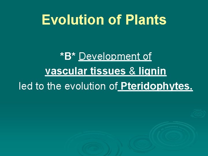 Kingdom Plantae Introduction Plants A multicellular eukaryotes B