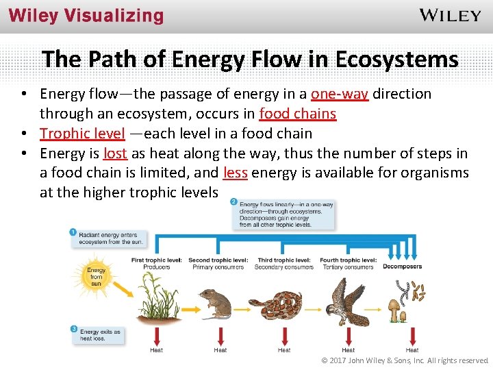 Visualizing Environmental Science How Ecosystems Work Chapter 5