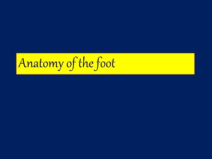 Anatomy Of The leg Skin of the Leg