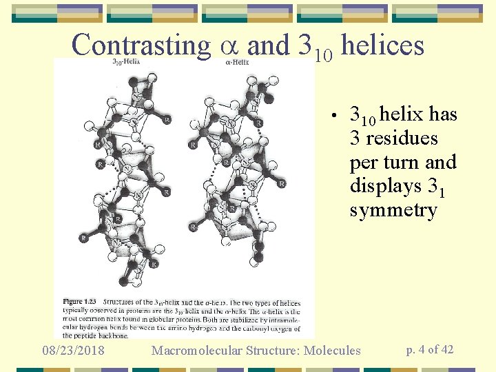 Macromolecular Structure Molecules Andy Howard Biology 555 Fall