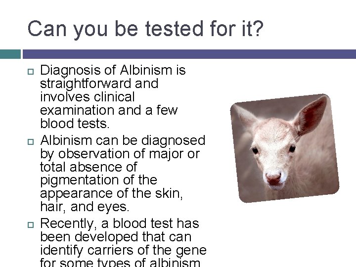 ALBINISM Britany Garcia What is Albinism Albinism is