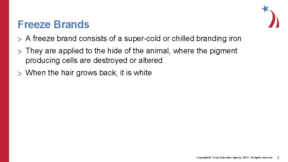 Branding Cattle Copyright Texas Education Agency 2017 These