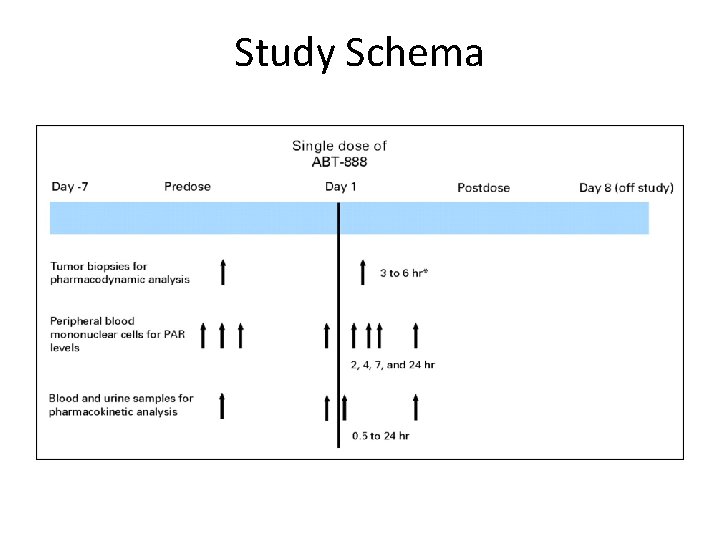 Filling in the holes Other oncology trial designs