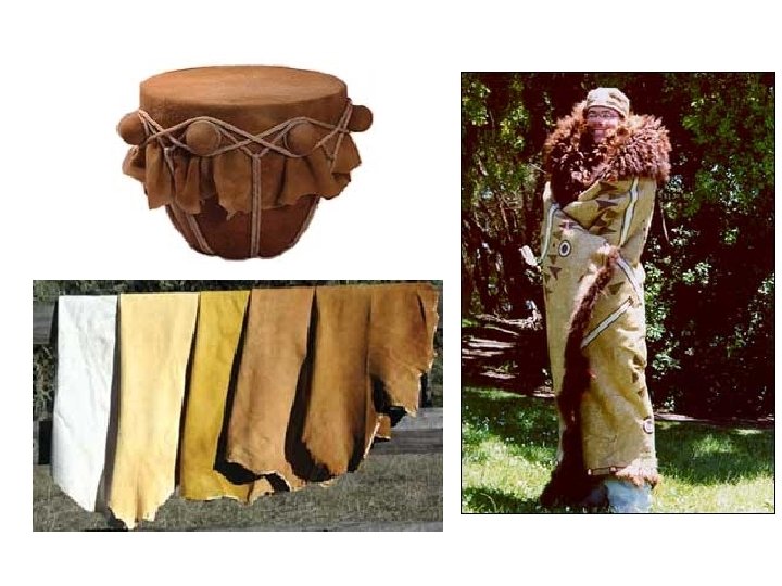 Hide Preservation Brain Tanning Brain Tanning a natural