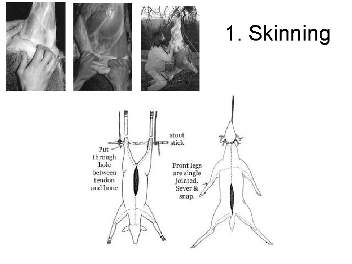 Hide Preservation Brain Tanning Brain Tanning a natural