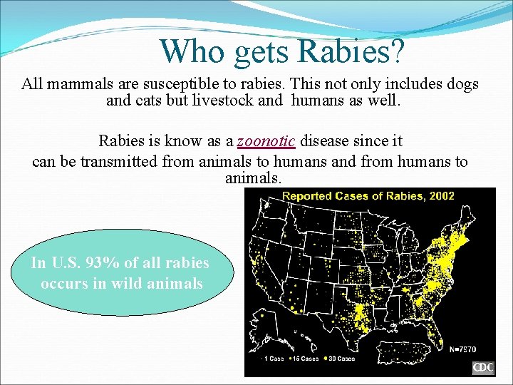 Rabies The Killer Virus Copyright 2010 PEER tamu