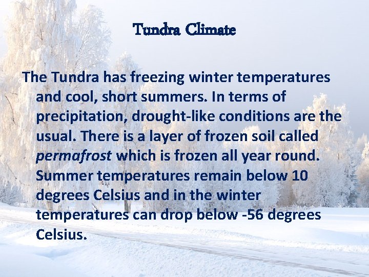 Tundra Biome by Kristina Pesce Olivia Stephens There