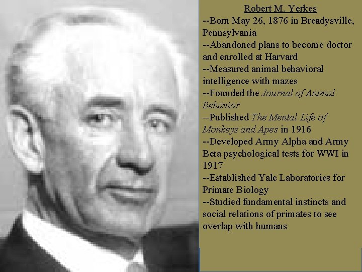 Chapter 22 Global Involvements World War I Important