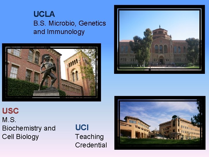 Welcome Mr Nodado Chemistry Honors enodadombusd org Class