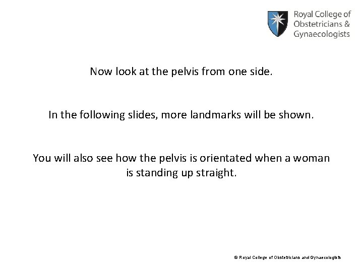 Anatomy of the female pelvis and vaginal birth