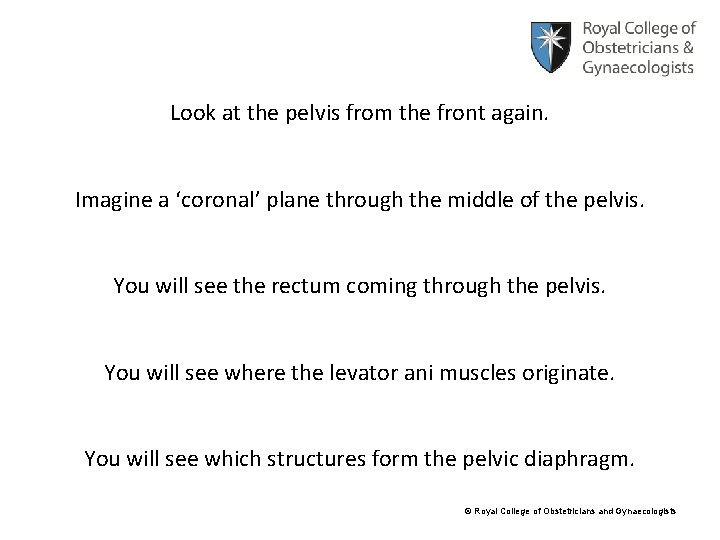 Anatomy of the female pelvis and vaginal birth