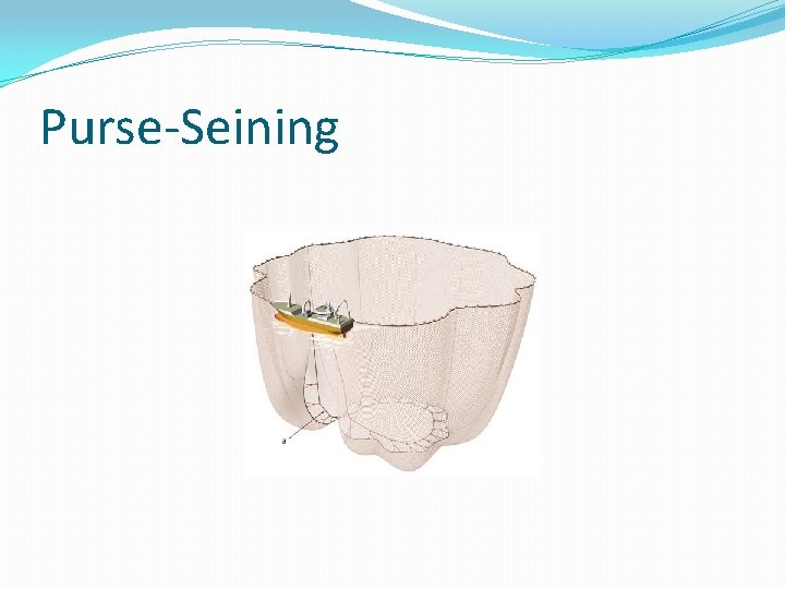 Fisheries and Fishing Techniques Overfishing Use the note