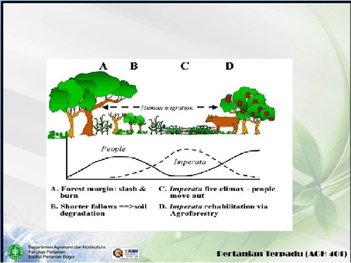 AGROFORESTRY 1 Bahan Kuliah Pertanian Terpadu Departemen Agronomi