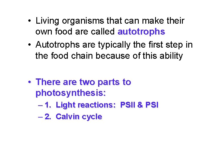Chapters 8 9 Photosynthesis Cellular Respiration Regular Biology