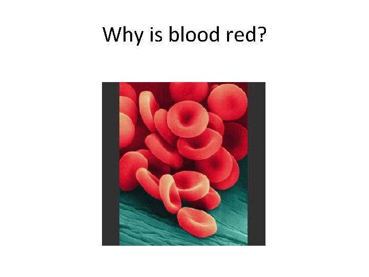 Selection on phenotypebehavior changes the underlying genetics allele