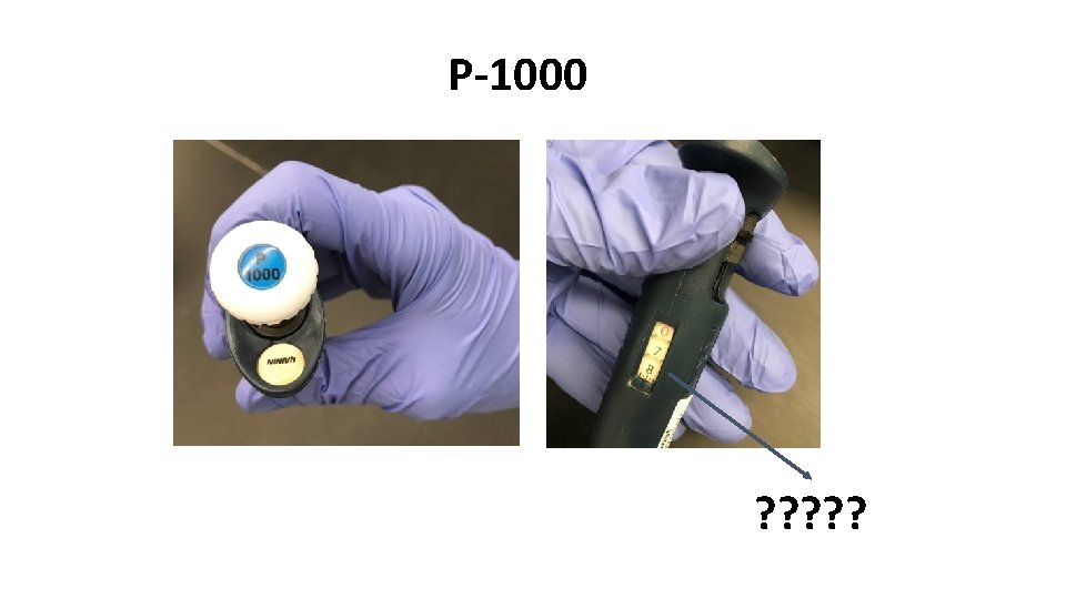 DHFR Protein Purification and Quantification Online Cell Bio