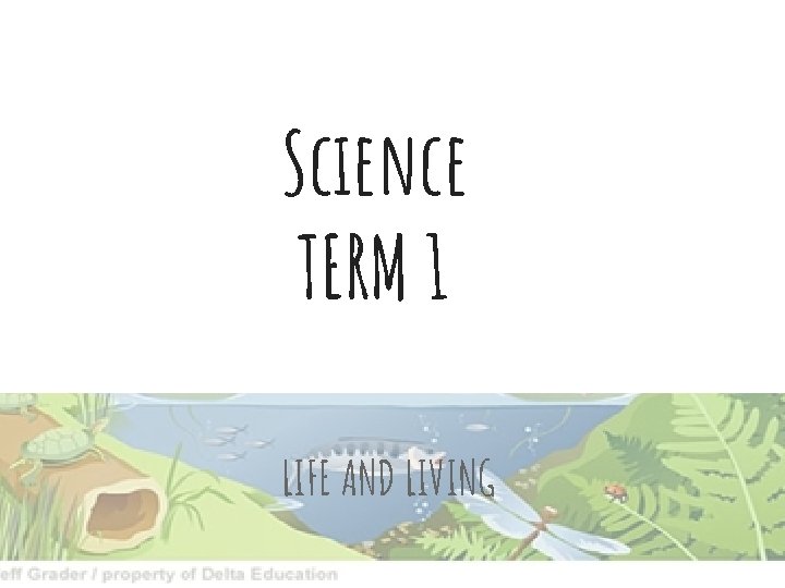 Science TERM 1 LIFE AND LIVING The Systems