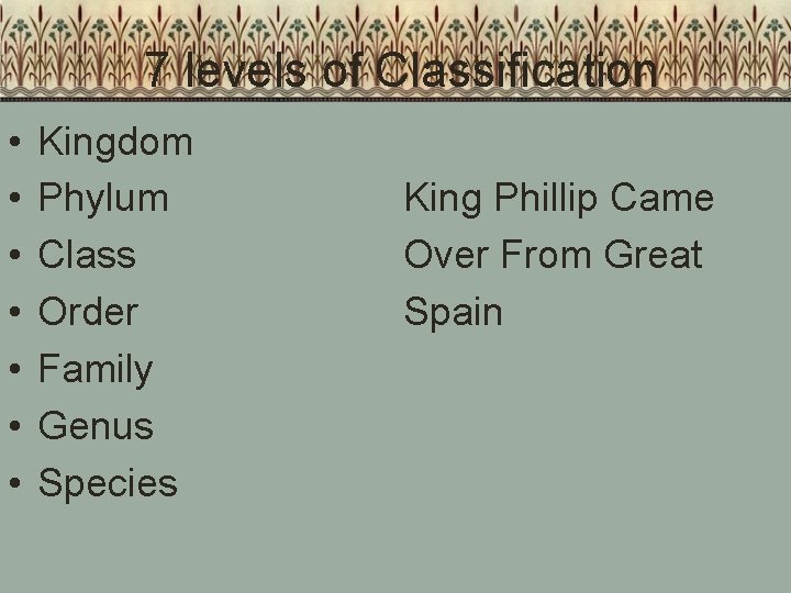 6 Kingdoms of Life SOL BIO 5 af