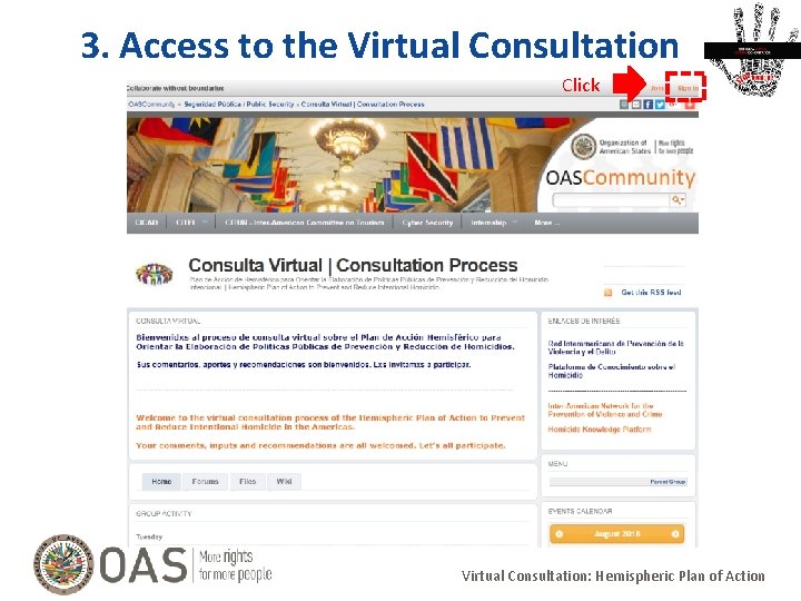 Virtual Consultation Hemispheric Plan of Action to Prevent