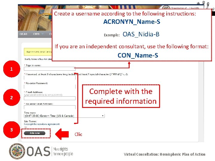 Virtual Consultation Hemispheric Plan of Action to Prevent