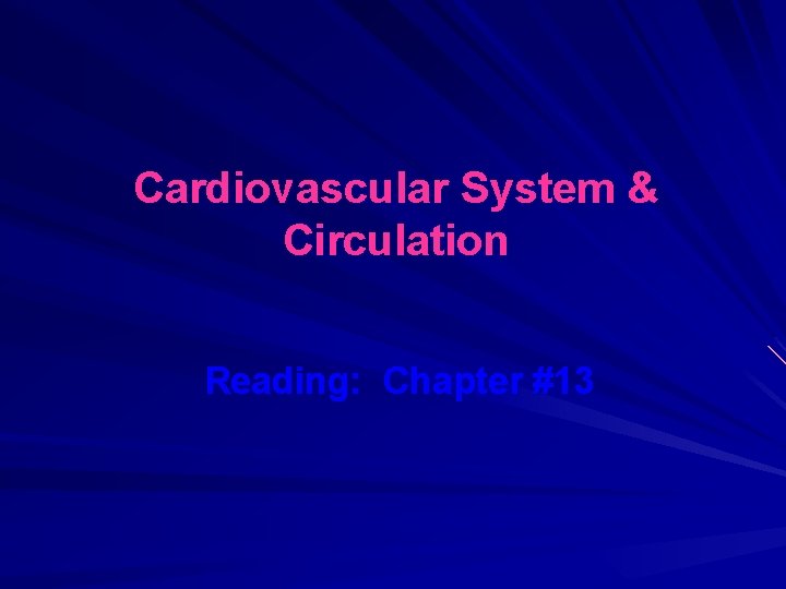 Cardiovascular System Circulation Reading Chapter 13 A Heart