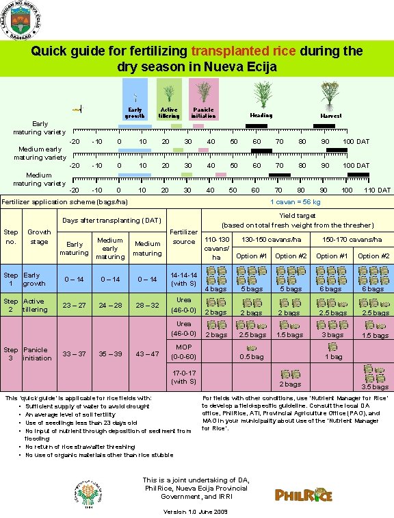 Quick guide for fertilizing transplanted rice during the