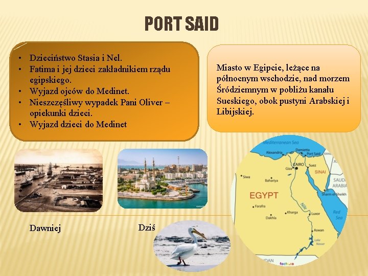 NIESPODZIEWANA WYPRAWA STASIA I NEL Bartosz Gajewski VIa