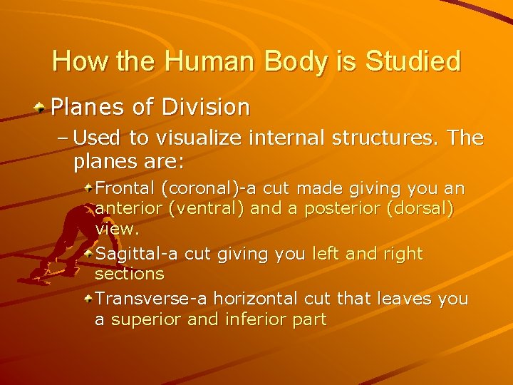 Basic Anatomy Homeostasis and Disease Human AnatomyUnit IPart