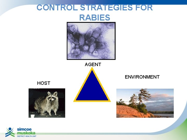 RABIES PREVENTION AND CONTROL IN SIMCOE MUSKOKA Charles