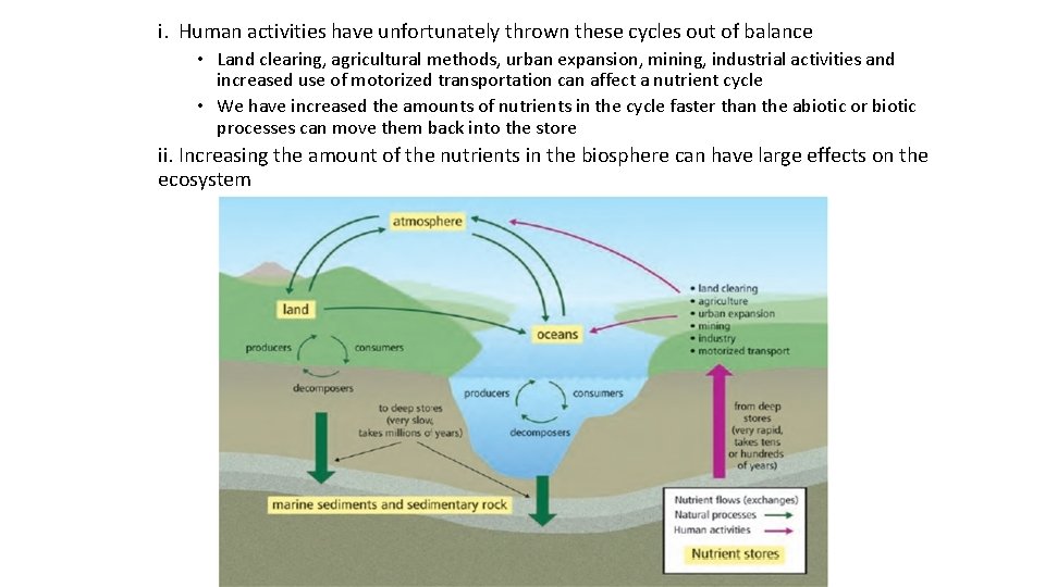 2 2 Global Interactions Part 2 Nutrient Cycling