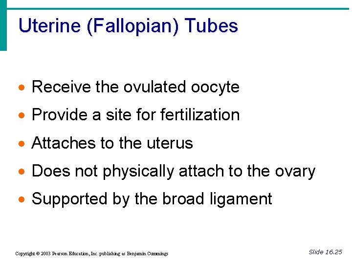 Female Reproductive System Ovaries Duct System Uterine tubes