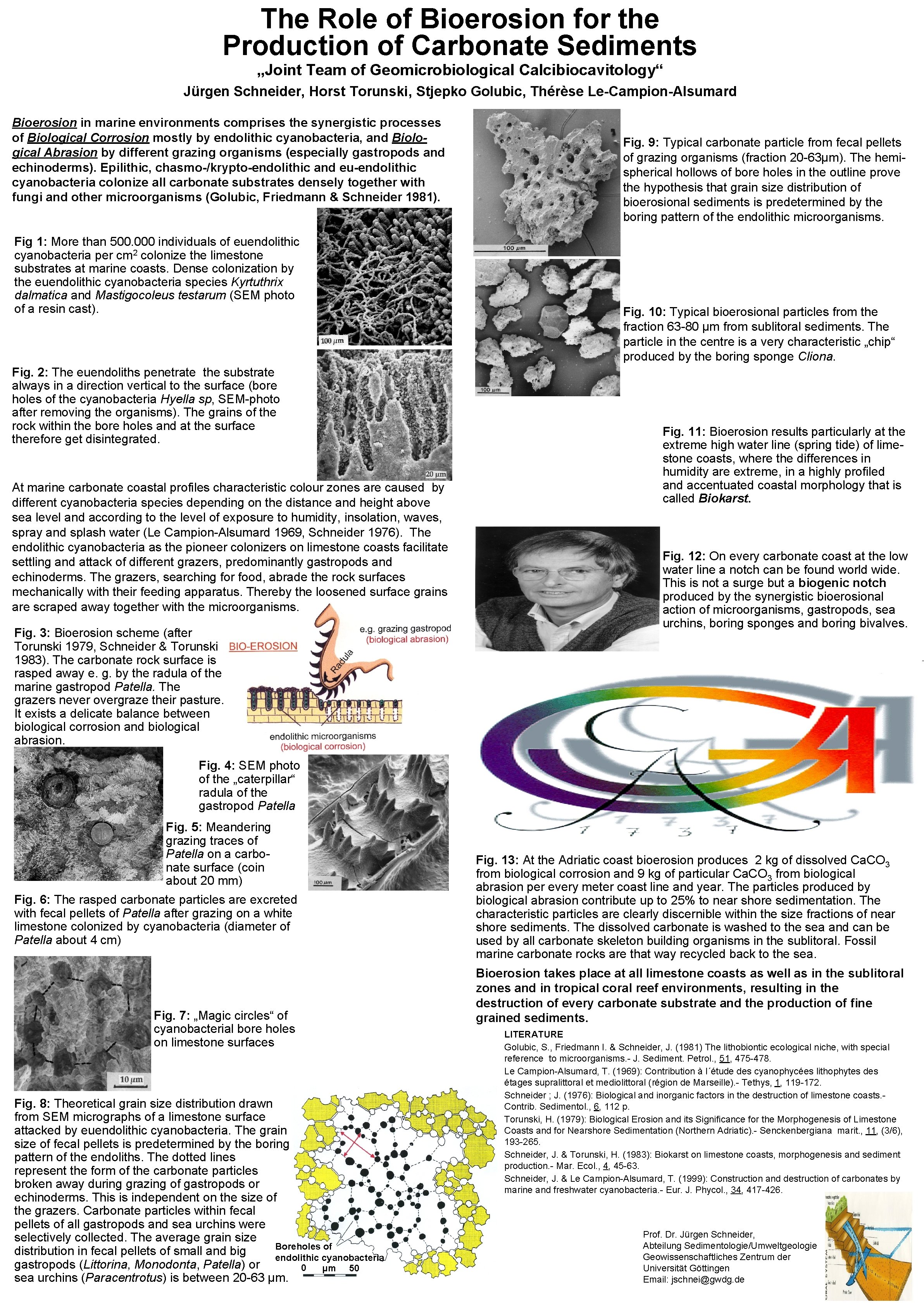 The Role of Bioerosion for the Production of