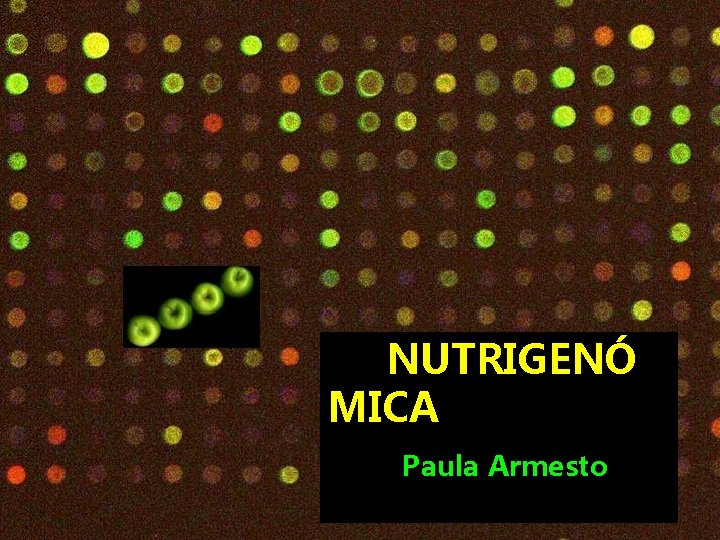 NUTRIGEN MICA Paula Armesto FOOD TRENDS 90 Alimentos