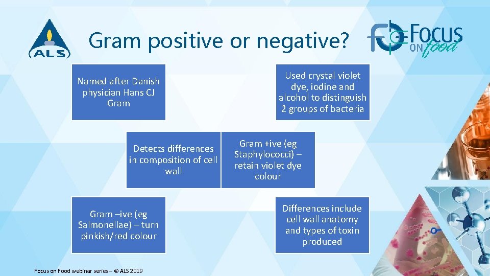 Focus on Basic Food Microbiology Part 1 Bacterial