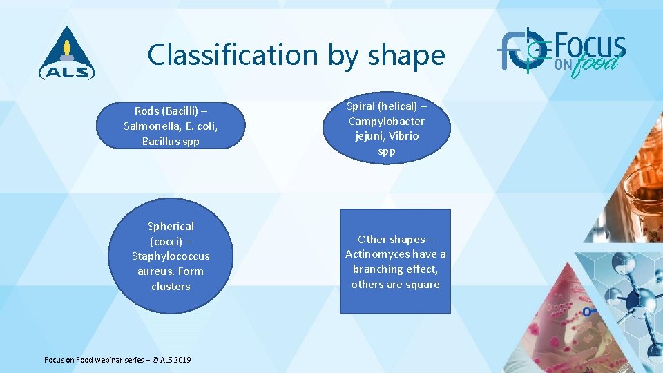 Focus on Basic Food Microbiology Part 1 Bacterial