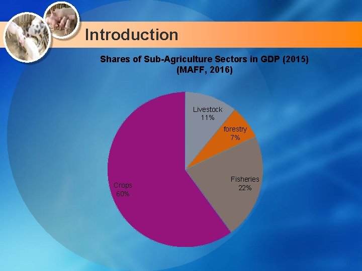 Regional Polytechnic Institute Techo Sen Battambang Constraints of