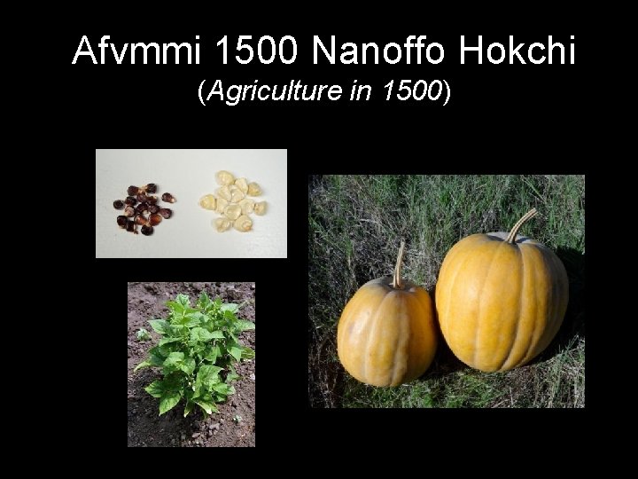 Chahta Imillimpa Choctaw Traditional Food By Dr Ian