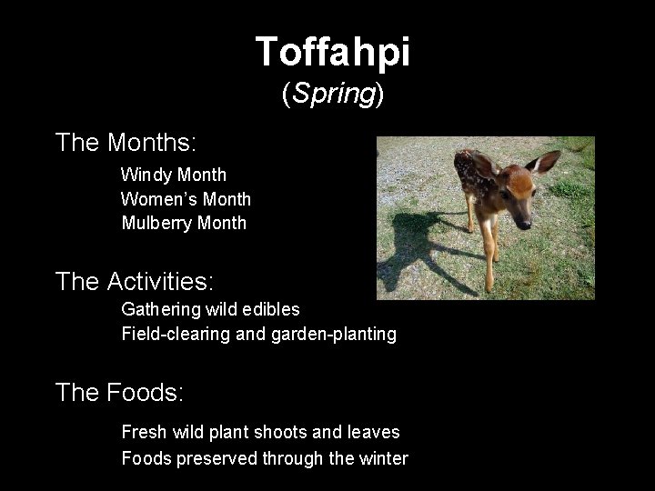 Chahta Imillimpa Choctaw Traditional Food By Dr Ian