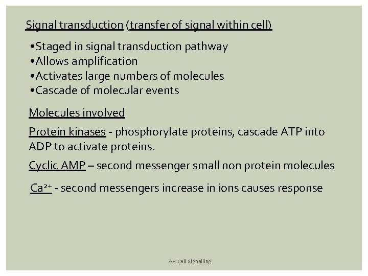 Introduction Elaborate complex intracellular and intercellular Animal cells