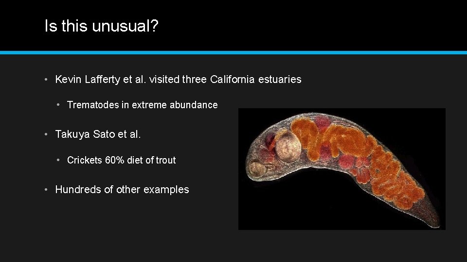 Zombie roaches and other parasite tails Caleb Laney