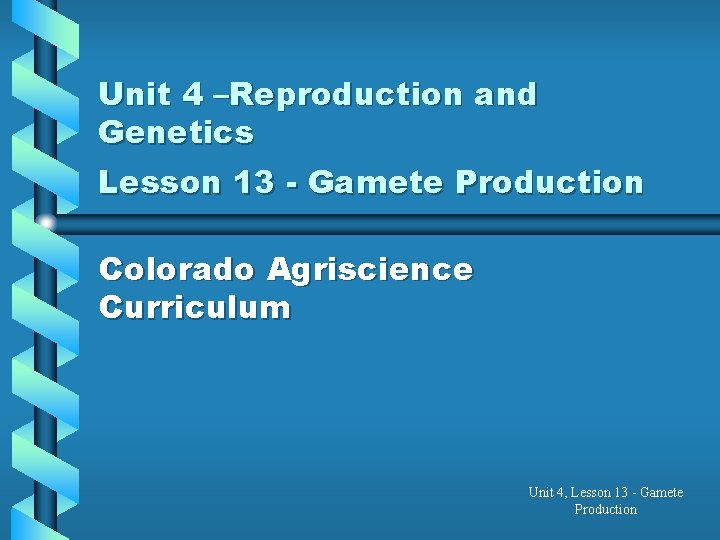 Unit 4 Reproduction and Genetics Lesson 13 Gamete