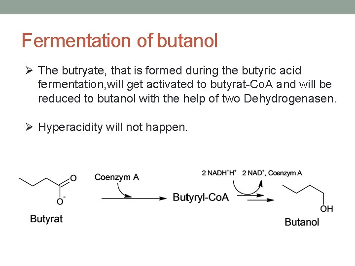 FERMENTATIONS WHICH PRODUCE H 2 WUN Biologie St