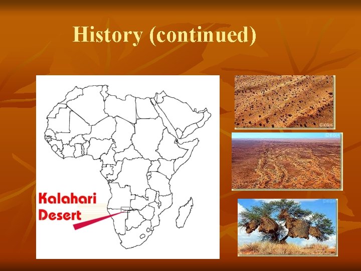 The Bushmen of the Kalahari Overview n n