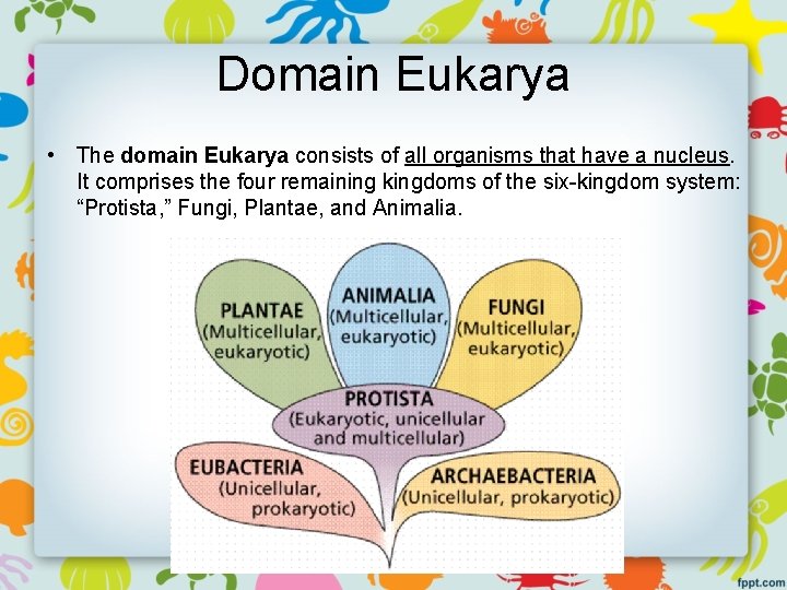 18 3 Building the Tree of Life Changing