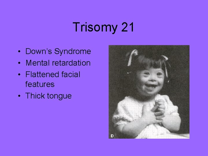Genetics Quick Review Mitosis Formation of Body cells