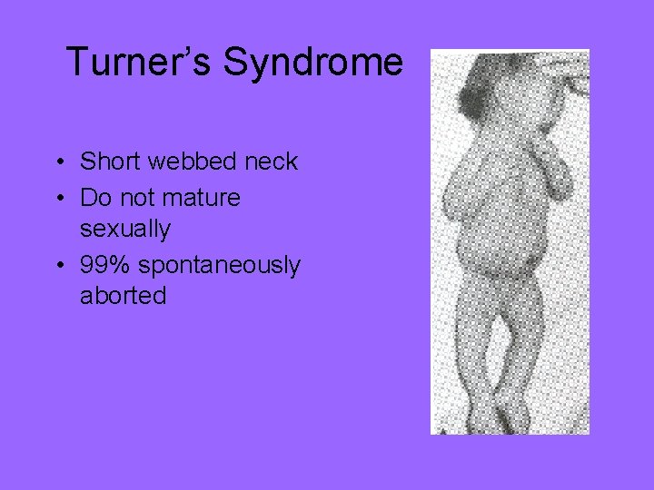 Genetics Quick Review Mitosis Formation of Body cells