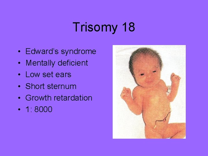 Genetics Quick Review Mitosis Formation of Body cells