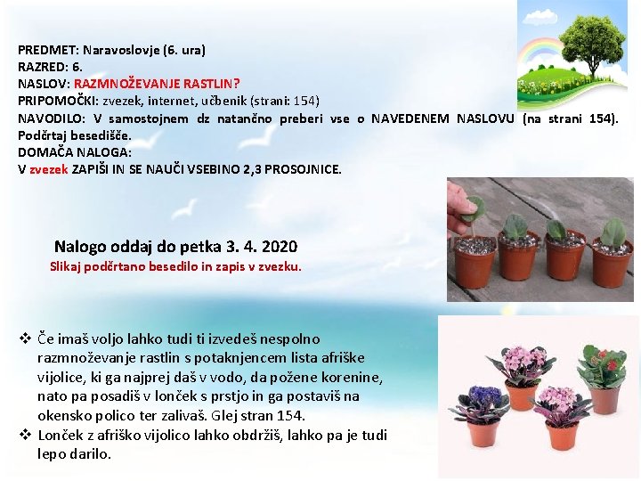 PREDMET Naravoslovje 6 ura RAZRED 6 NASLOV RAZMNOEVANJE