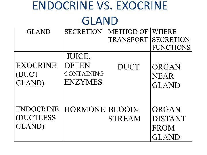 The Endocrine System Endocrine System Remember Your nervous