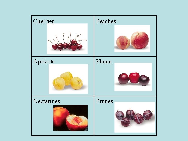FRUIT CLASSIFICATIONS BERRIES CITRUS FRUIT DRUPES MELONS POMES